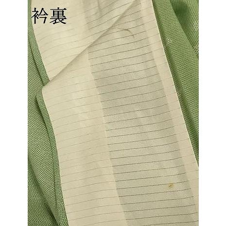 平和屋着物○結城紬 160亀甲 菱草花文 正絹 逸品 CABA9609gh