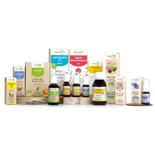 エルム 15ml ジェムレメディ シングル ハーバル サプリメント お肌のインナーケア 新芽 ジェモセラピー チンキ BIO Elm ORME : ハーブセンター - 通販 - Yahoo ...