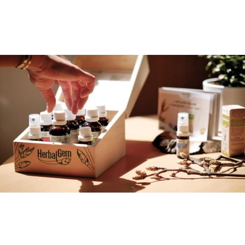 エルム 15ml ジェムレメディ シングル ハーバル サプリメント お肌のインナーケア 新芽 ジェモセラピー チンキ BIO Elm ORME :HG030420:ハーブセンター - 通販 ...