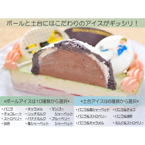 キャラクターアイスケーキ 〜サッカータイプ〜 5号 : charab-03 : ハーブカントリー - 通販 - Yahoo!ショッピング