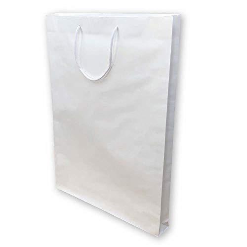 エヒメ紙工 賞状額縁用紙袋 A3サイズ 10枚入 W390×H510×D45mm SJP-A3 : ヘルクレス ヤフーショップ - 通販 - Yahoo!ショッピング