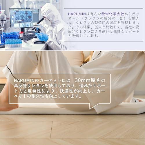 HARUMIN 極厚30mm カーペット ラグ 厚手 約1.5畳 ラグマット 絨毯 無地 防音 抗菌 防臭 防ダニ 低ホルム 北欧 おしゃれ 滑 : mu9607fafee1 : ヘルクレス ...