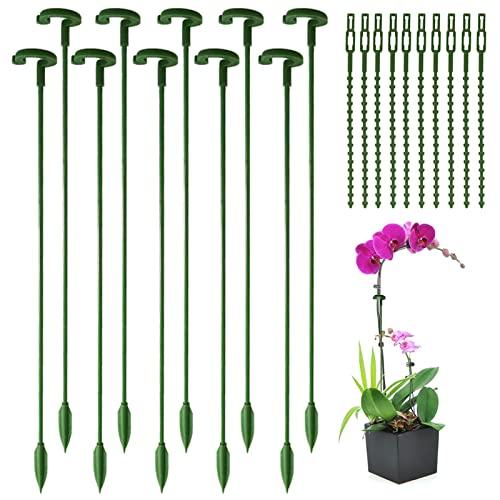 DY.2ten 園芸支柱 花支え 37cm 10本セット 植物支柱 フラワースタンド つる性植物 観葉支柱 花ささえ 誘引 支柱 植物サポート : ヘルクレス ヤフーショップ - 通販 ...