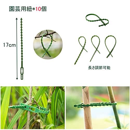 DY.2ten 園芸支柱 花支え 37cm 10本セット 植物支柱 フラワースタンド つる性植物 観葉支柱 花ささえ 誘引 支柱 植物サポート : ヘルクレス ヤフーショップ - 通販 ...