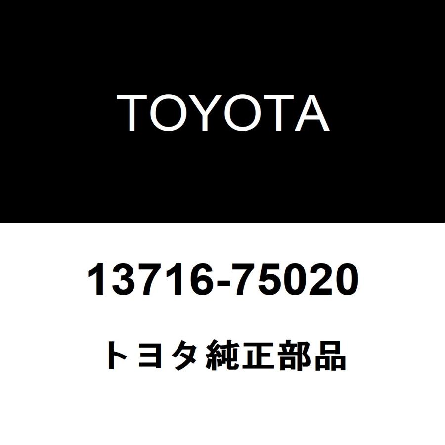 トヨタ トヨタ純正 バルブステム キャップ 13716-75020 : ヘックスストア - 通販 - Yahoo!ショッピング