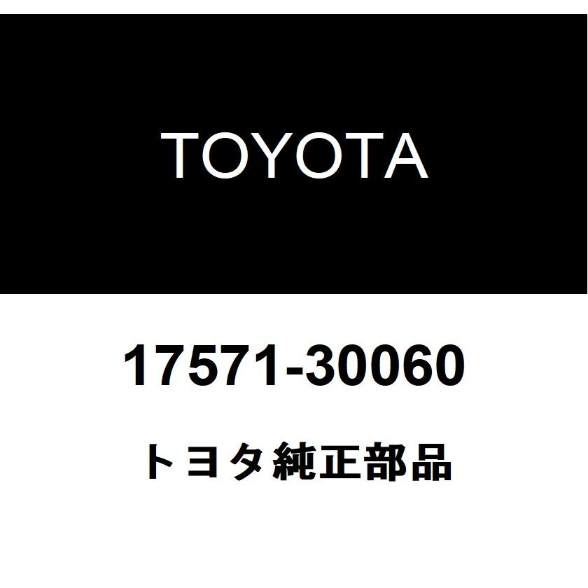 トヨタ トヨタ純正 エキゾーストパイプサポート ブラケット NO.1 17571-30060 : ヘックスストア - 通販 - Yahoo!ショッピング