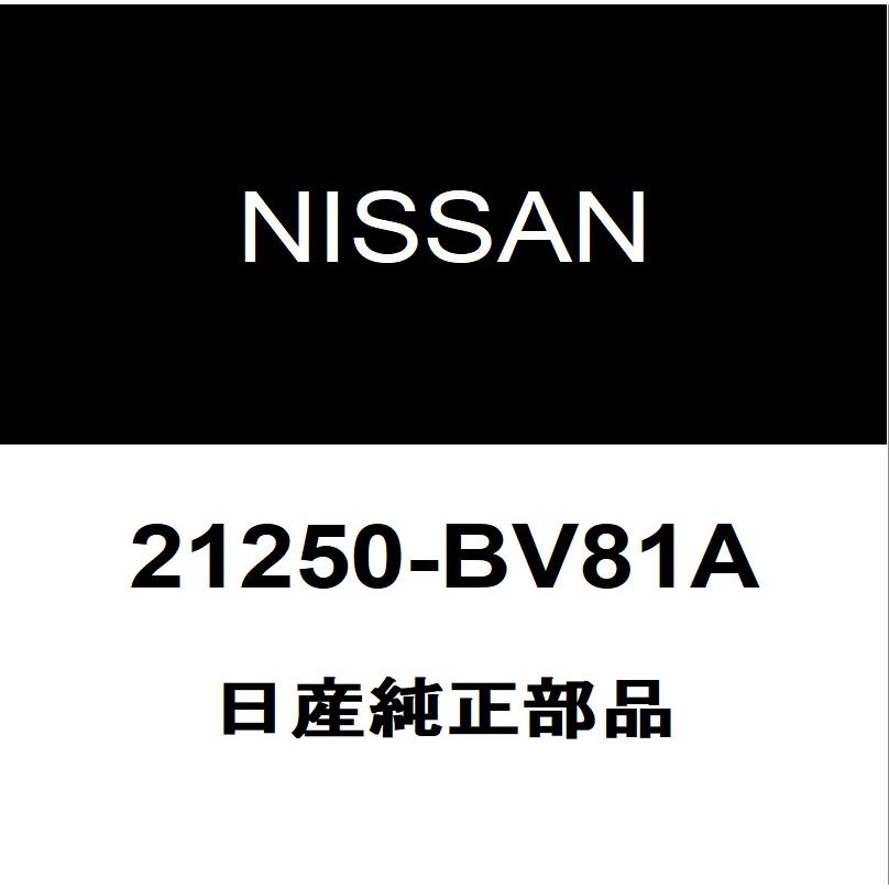 日産 日産純正 ジューク サーモスタット 21250-BV81A : ヘックスストア - 通販 - Yahoo!ショッピング