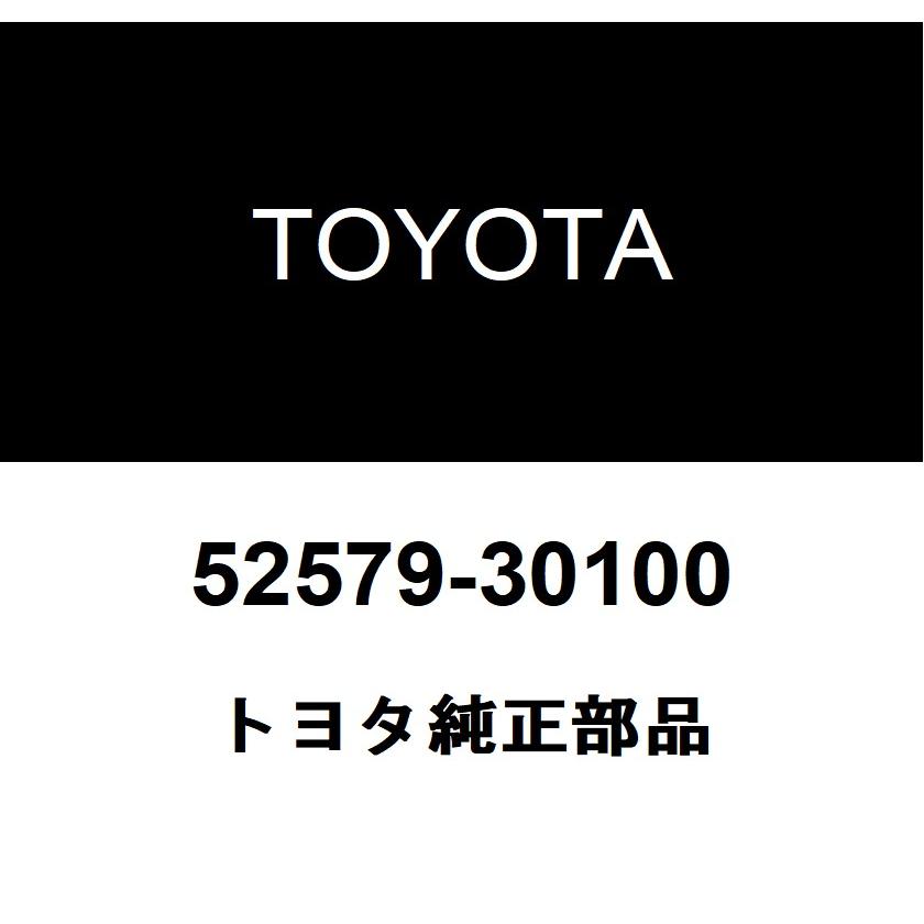 トヨタ トヨタ純正 リヤバンパサイド リテーナ NO.3 52579-30100 : ヘックスストア - 通販 - Yahoo!ショッピング
