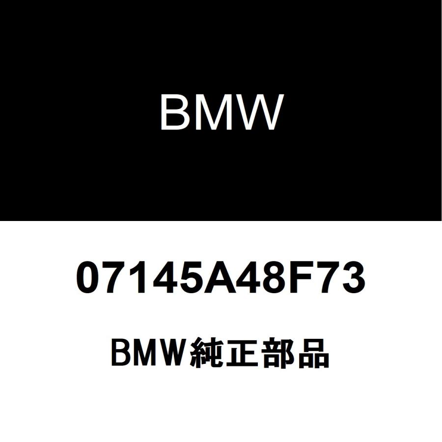 BMW純正 丸さら小ねじ、スプリング ワッシャー付き - M6X20 07145A48F73 :07145A48F73:ヘックスストア輸入車 ...