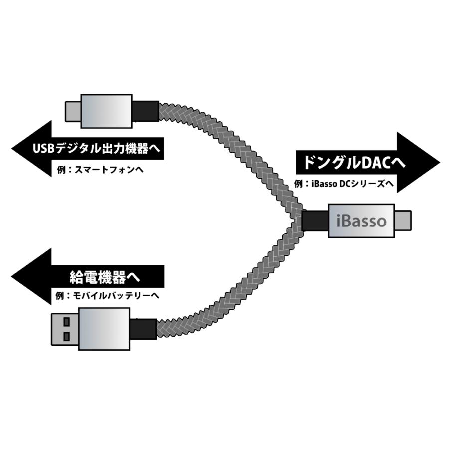 iBasso Audio（アイバッソオーディオ） 【3月8日発売】iBasso Audio アイバッソ CB19 セパレートパワーOTG ...