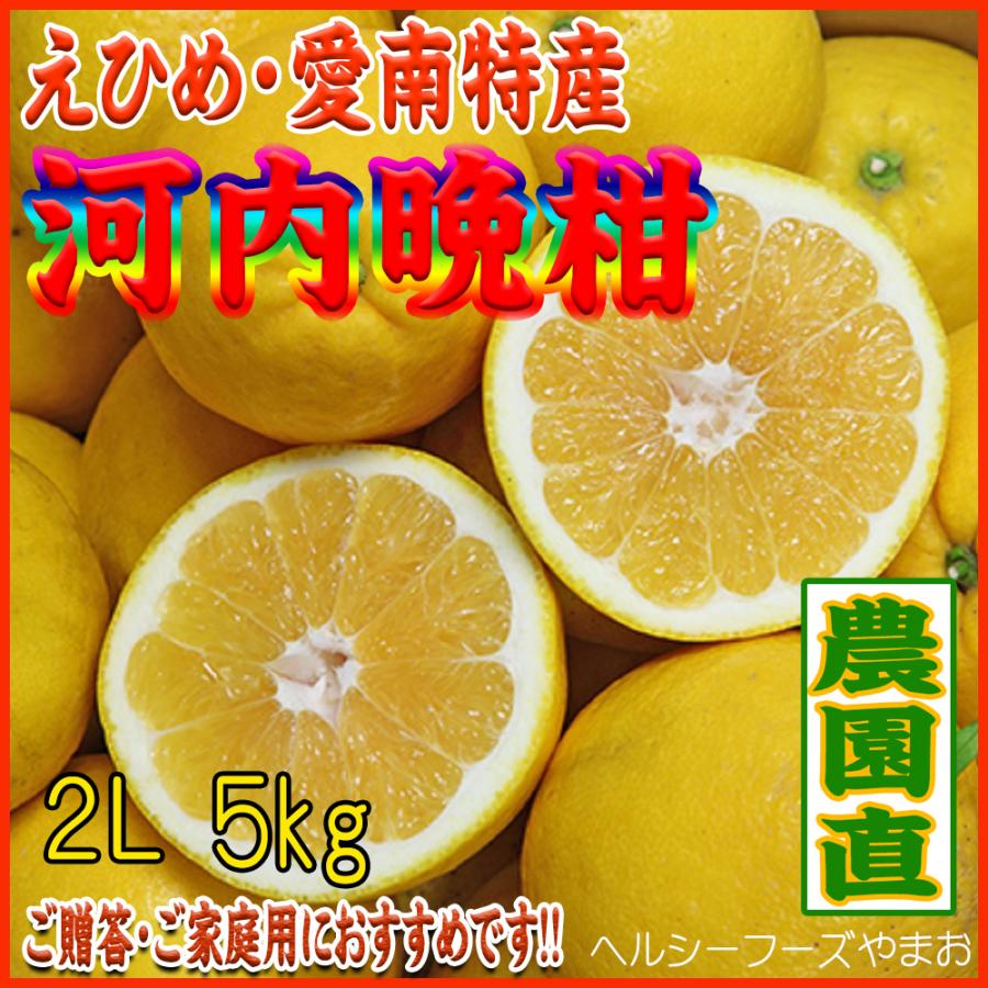 2024 ギフト 贈り物 プレゼント 河内晩柑（農園直送）特価（かわちばんかん・愛媛産・2Lサイズ）5kg入（ご贈答・ご家庭用に最適です） :fr15n-5k-2L:ヘルシーフーズやまお ...