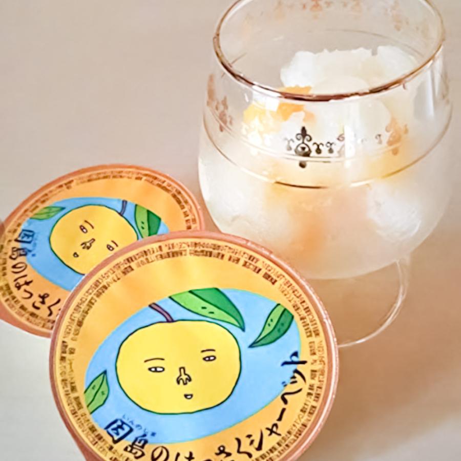 広島銘菓 因島のはっさくゼリー 78g6個 はっさくシャーベット 75g6個 合せて12個セット 送料込み お土産 銀座tau :hr-340580048:ワールドグルメショップ - 通販 ...