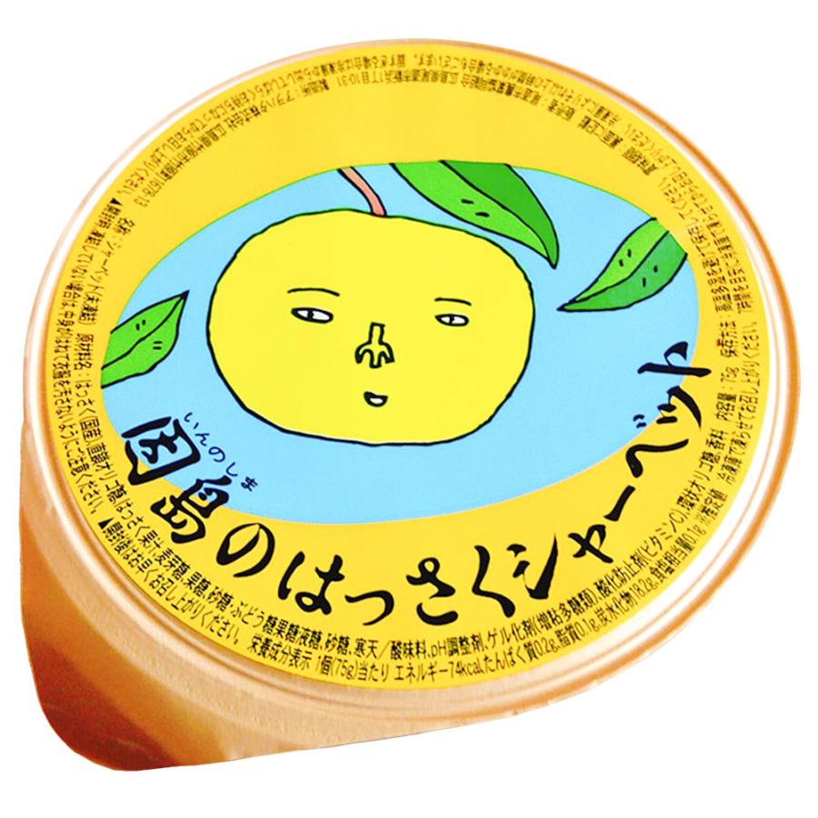 広島銘菓 因島のはっさくゼリー 78g6個 はっさくシャーベット 75g6個 合せて12個セット 送料込み お土産 銀座tau :hr-340580048:ワールドグルメショップ - 通販 ...
