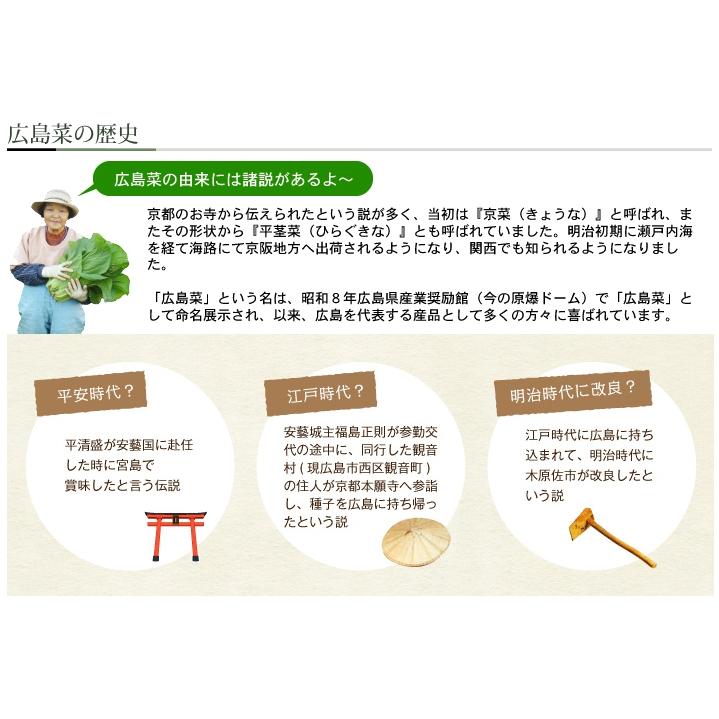 広島菜漬け 倭(やまと) 竹皮 110g 4個セット 国産広島菜 送料込み 銀座tau人気 漬物 手土産 山豊漬物 お土産 : ワールドグルメショップ - 通販 - Yahoo!ショッピング