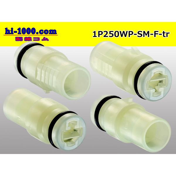 住友電装製250型防水1極F側コネクタのみ（端子別）/1P250WP-SM-F-tr : 配線コム - 通販 - Yahoo!ショッピング