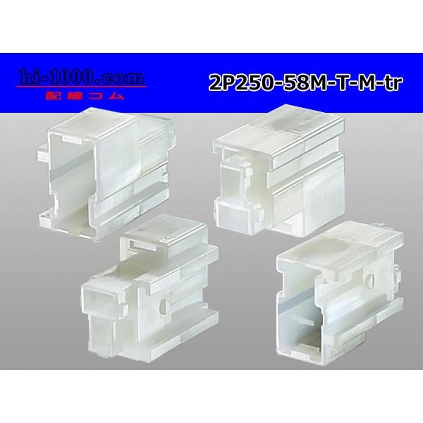 矢崎総業250型58シリーズMタイプ2極M側コネクタ/2P250-58M-T-M-tr : 配線コム - 通販 - Yahoo!ショッピング