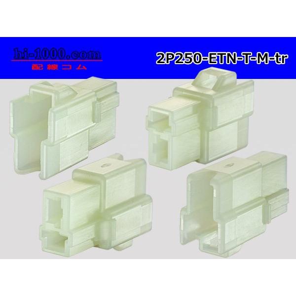 住友電装250型ETNシリーズ2極M側コネクタ（端子別）/2P250-ETN-T-M-tr : 配線コム - 通販 - Yahoo!ショッピング