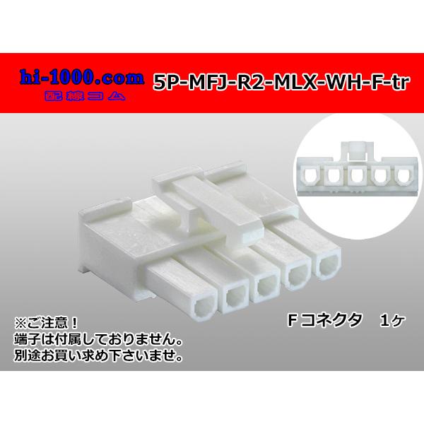 Molex Mini-Fit Jrシリーズ 5極 [1列]メスコネクタ[白色] /5P-MFJ-R2-MLX-WH-F-tr : 配線コム ...