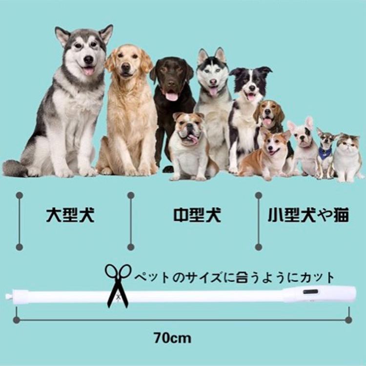 セイフティLEDリング ハイハイ 散歩 夜 光る LED リング 首輪 犬 セイフティLEDリング ハイハイ 散歩 夜 光る LED リング 首輪 犬