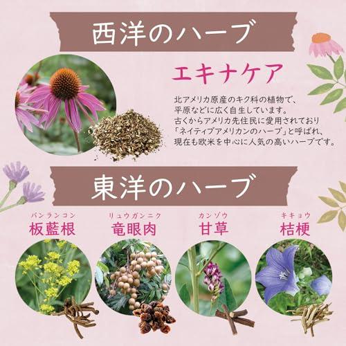 松浦薬業 エキナケア のど飴 52gノンシュガー 個包装 メントール バンランコン ハーブエキス配合 : イビスコ - 通販 - Yahoo!ショッピング