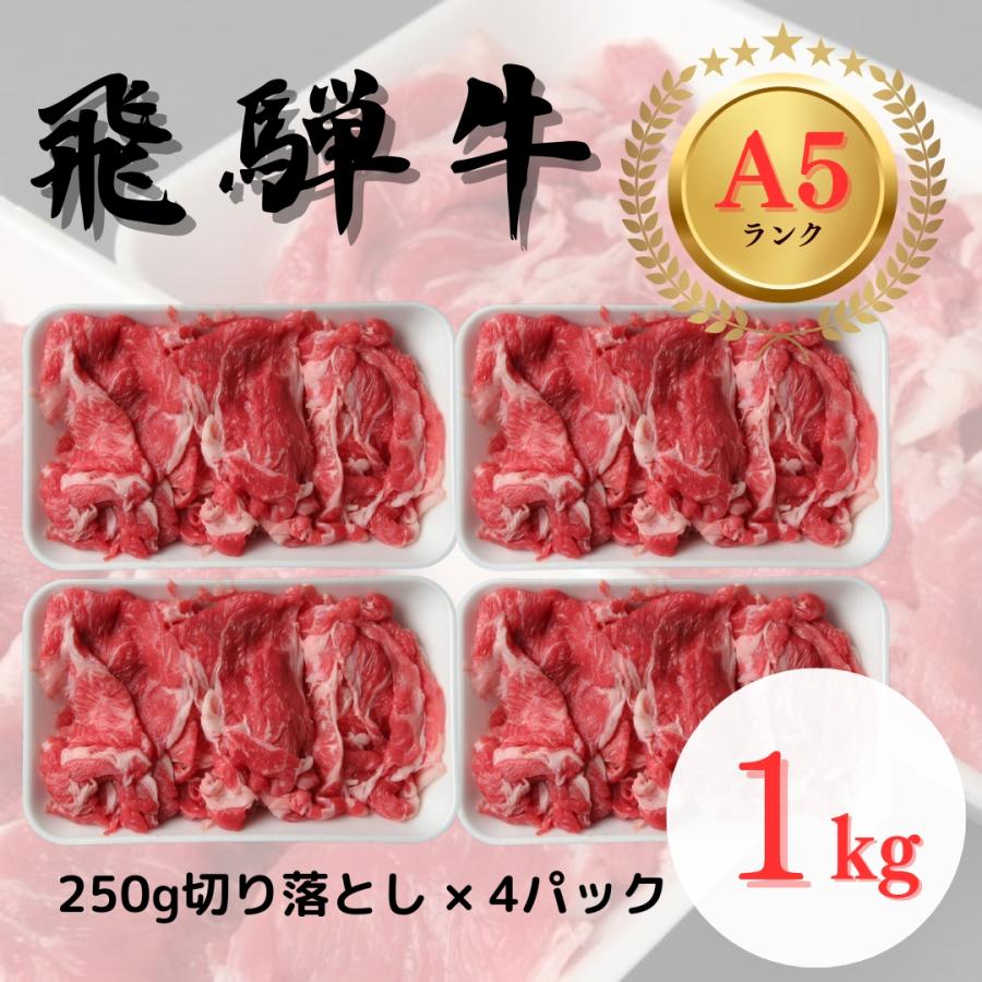 飛騨牛A5等級 切り落としお得パック 250g×4（総量1kg） : 飛騨物産館 - 通販 - Yahoo!ショッピング