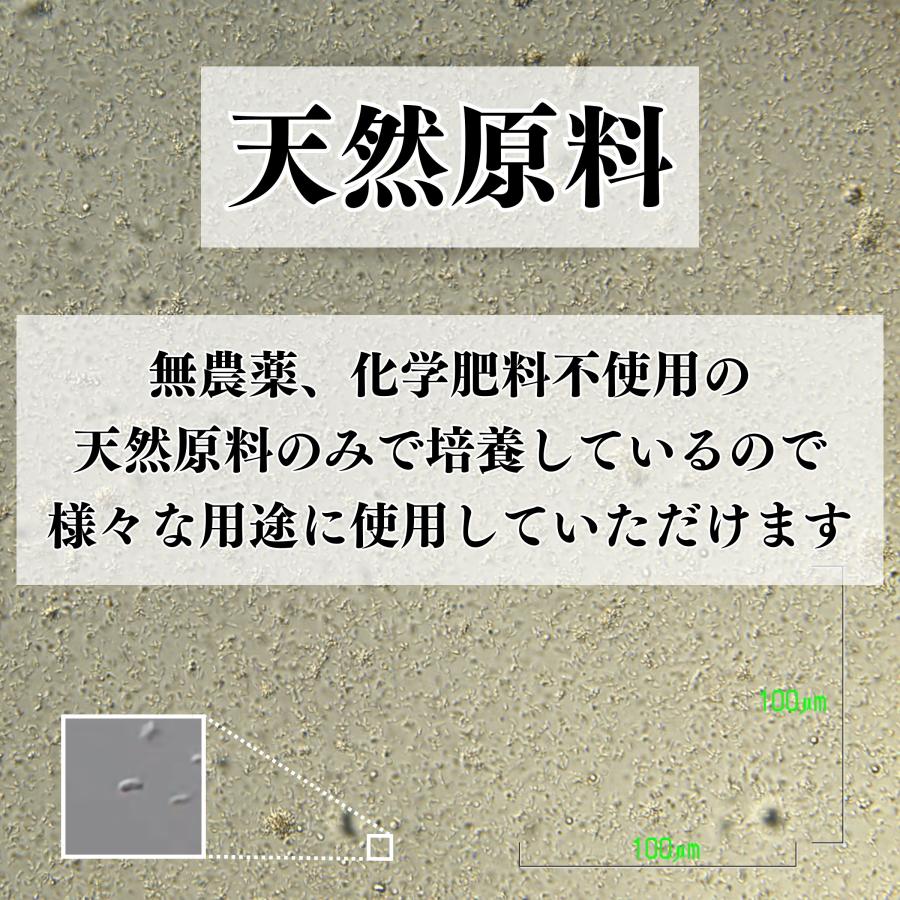 光合成細菌 PSB 2リットル 農業 畜産 ガーデニング メダカ 観賞魚飼育に 【光合成細菌専門店 秀玄】 :PSB-2000:光合成細菌PSB専門店 秀玄 - 通販 - Yahoo!ショッピング