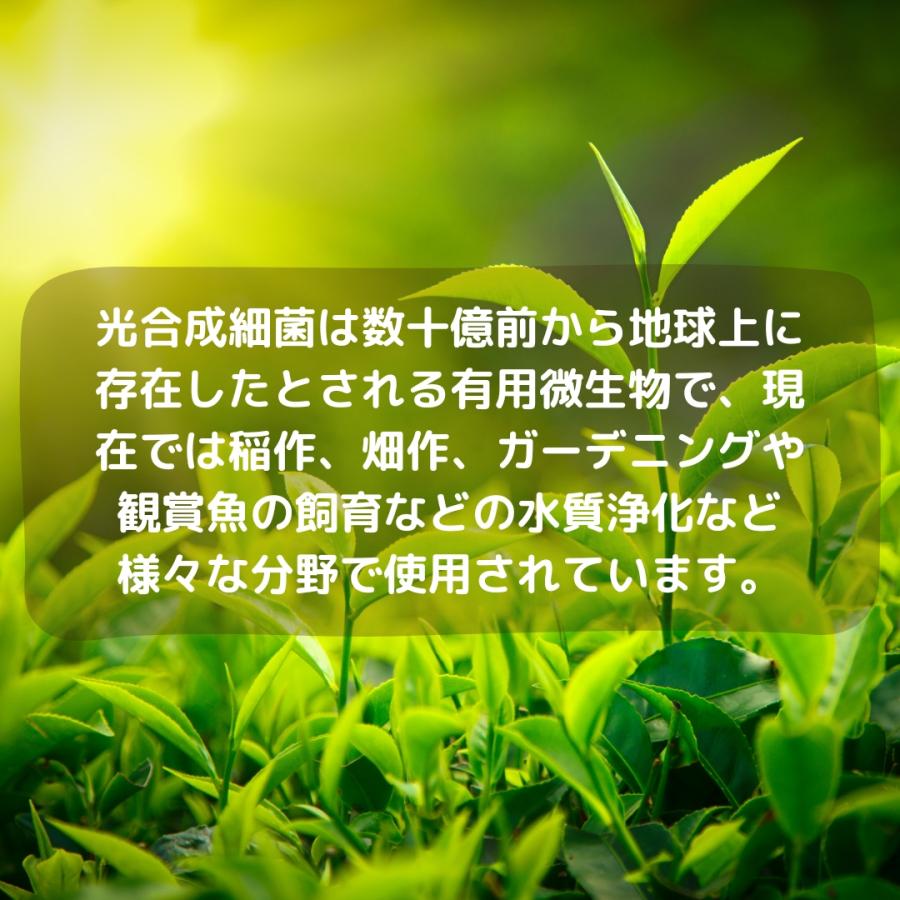 光合成細菌 PSB 2リットル 農業 畜産 ガーデニング メダカ 観賞魚飼育に 【光合成細菌専門店 秀玄】 :PSB-2000:光合成細菌PSB専門店 秀玄 - 通販 - Yahoo!ショッピング