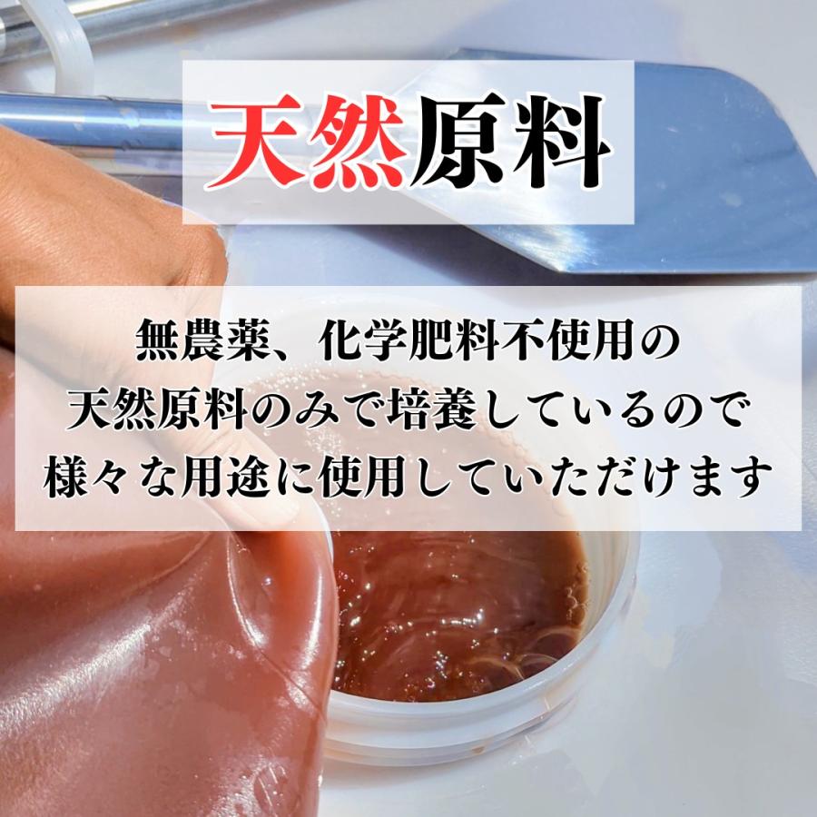 光合成細菌 PSB 40リットル培養お試しセット :PSBSET-40L:光合成細菌PSB専門店 秀玄 - 通販 - Yahoo!ショッピング