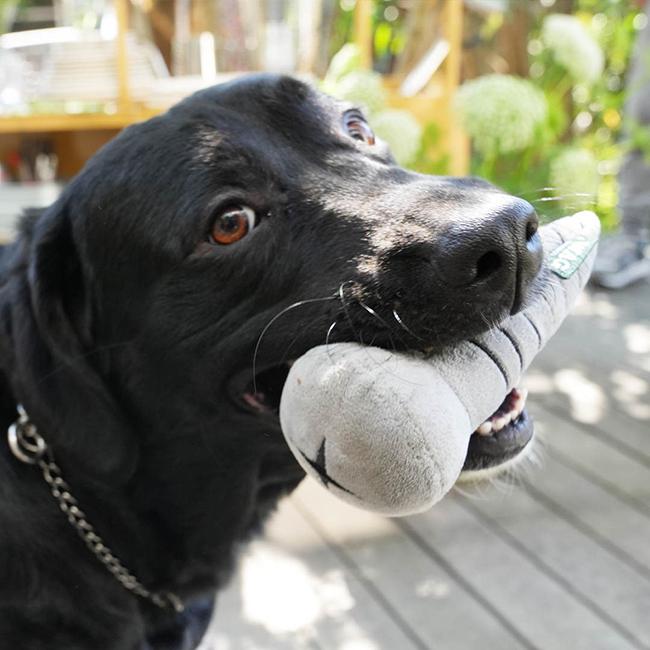 D.WAG ディーワグ PLUSH TOY SCREW SET OF 2 プラッシュトイスクリューセットオブ2 Y-0845 【 犬 ペット ...