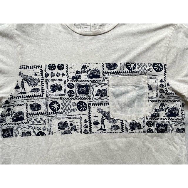patagonia（パタゴニア） パタロハ ポケット Tシャツ patagonia M's Opihi Man Organic Pocket ...