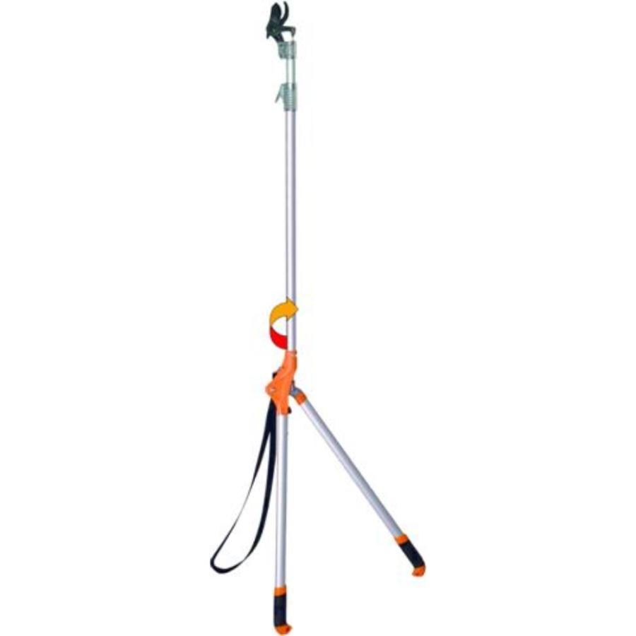 LIFELEX コーナンオリジナル 太枝伸縮切鋏 LFX09-9971／剪定 果樹 庭 ガーデニング ライフレックス : ヒロセ ネットショップ - 通販 - Yahoo!ショッピング