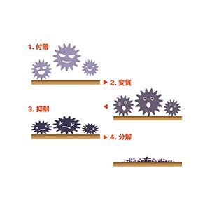 第一精工舎 銅殺菌 プラッパーシリーズ （plapper) プラッパー 照明スイッチカバー 2口 C−05P : ヒロセ ネットショップ - 通販 - Yahoo!ショッピング