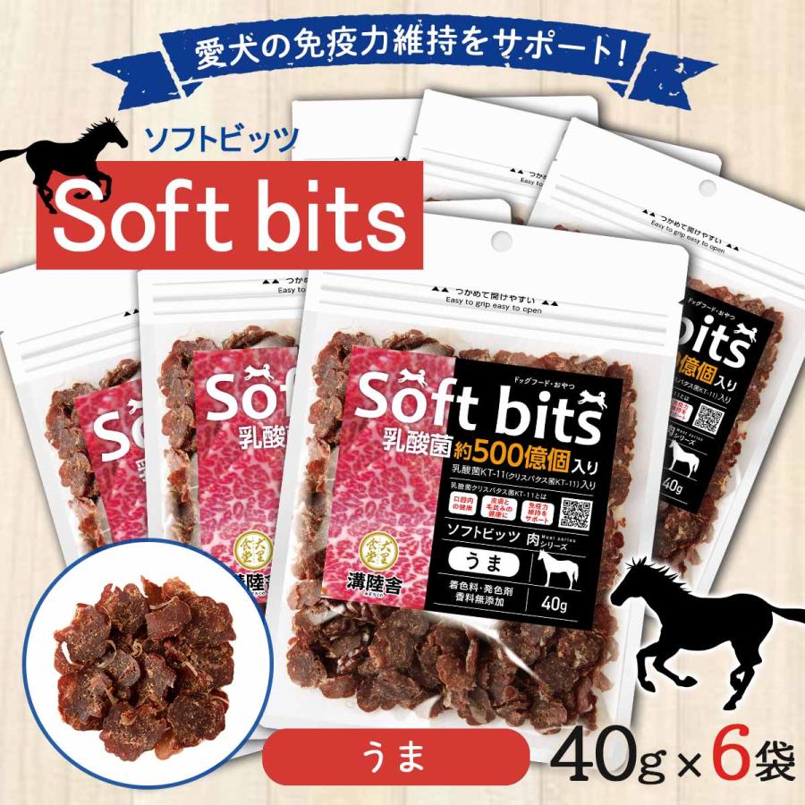 溝陸舎 犬里食堂 soft bits ソフトビッツ ビッツミート うまビッツミート うま 40g×6袋 : ヒロセ ネットショップ - 通販 - Yahoo!ショッピング