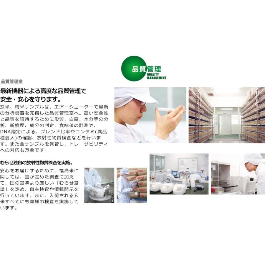 新米 青森県産 青天の霹靂 4kg(2kg×2袋) 令和7年産 むらせライス 精米HACCP認定の高品質管理 ジッパー付きで保存に便利 白米 精米 お米 コメ 送料無料 : ひかりTV ...