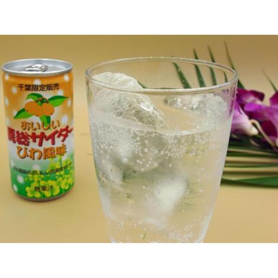 JFウォーターサービス おいしい房総サイダー びわ風味(190ml×30本) : ひかりTVショッピングYahoo!店 - 通販 - Yahoo!ショッピング