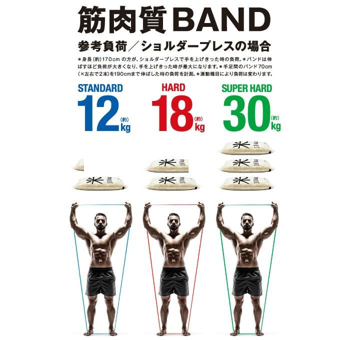 エルガム erugam エキスパンダー トレーニングバンド スタンダード 筋肉質BAND 54154 : ヒマラヤ Yahoo!店 - 通販 - Yahoo!ショッピング