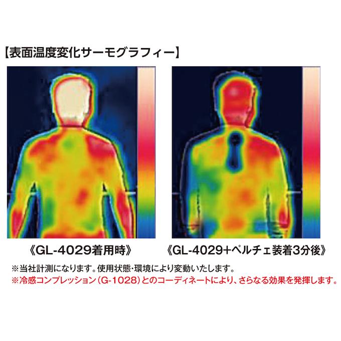 【送料無料】グラディエーター GLADIATOR 冷却ペルチェ ペルチェデバイス クーラーユニット GP-834 コーコス CO-COS 【ご自宅配送限定】‥ : ヒマラヤ Yahoo!店 ...