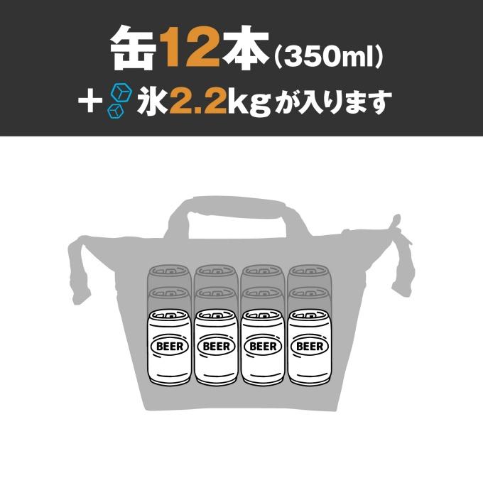 AO Coolers エーオークーラー AO Coolers AOクーラーキャンバス 11L+