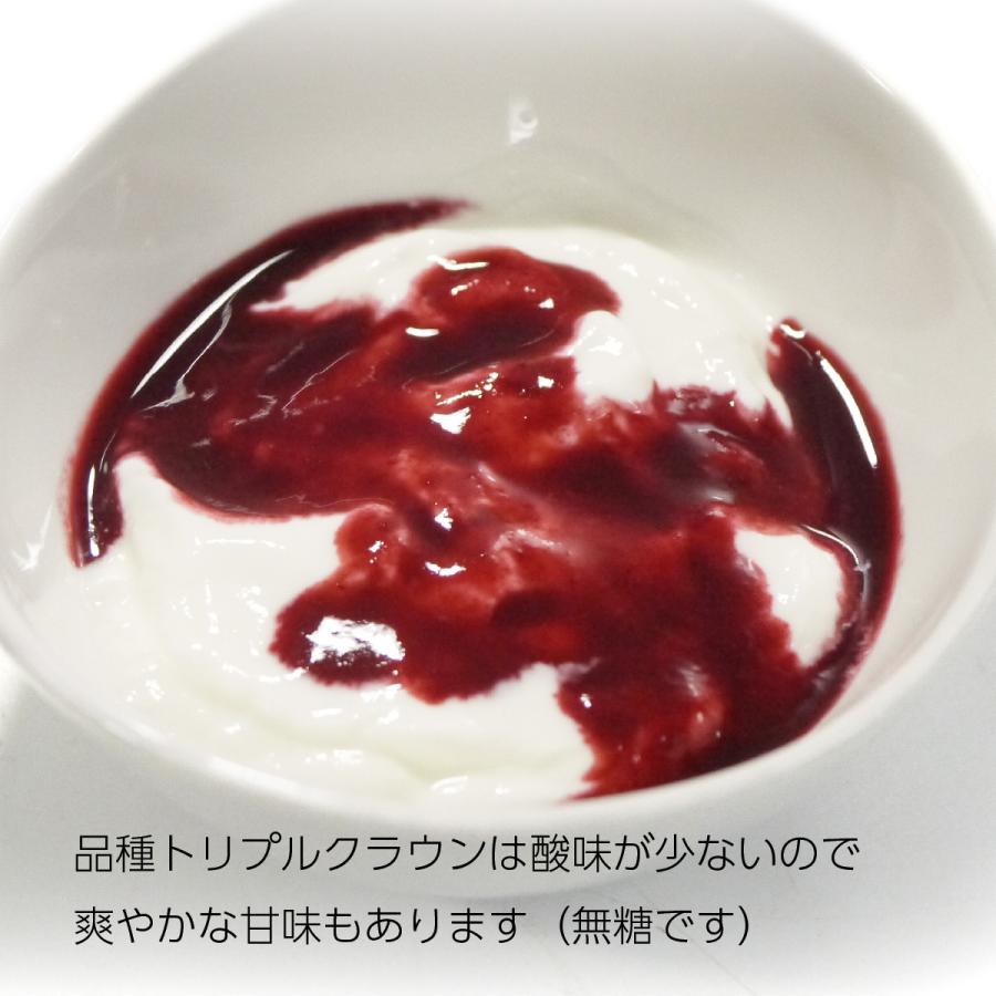 （冷凍）青森県産農薬・化学肥料不使用ブラックベリーピューレ1袋150gx3袋 無添加・無糖 : ハイネットショップヤフー店 - 通販 - Yahoo!ショッピング