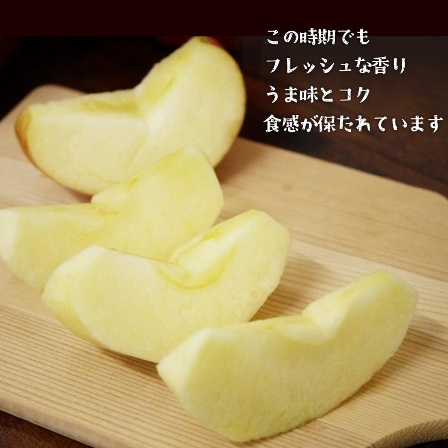 （冷蔵）青森りんご「サンふじ」訳ありご家庭用約5kg (16~20玉入り) : ハイネットショップヤフー店 - 通販 - Yahoo!ショッピング