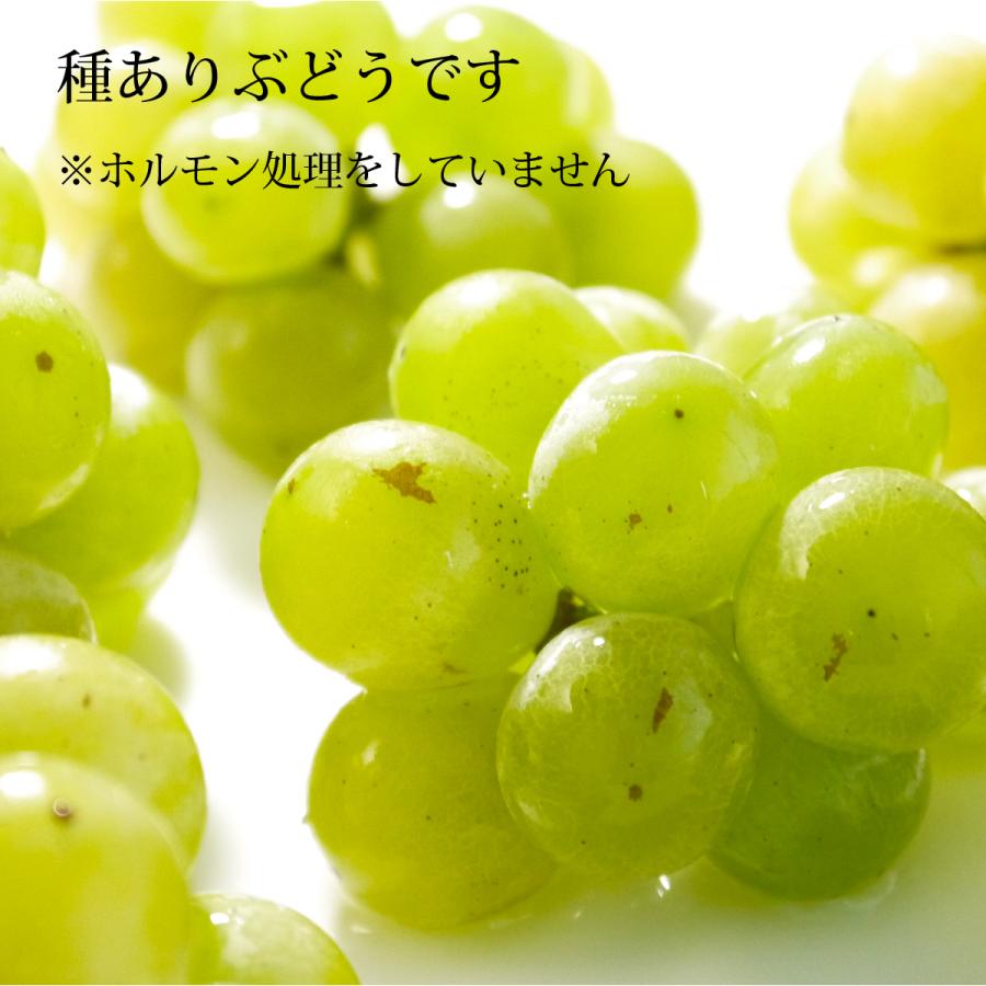 （冷蔵）青森県産ぶどう「ナイアガラ」農薬・化学肥料不使用約2kg（5〜房）x1箱[ぶどう楽園] : ng1 : ハイネットショップヤフー店 - 通販 - Yahoo!ショッピング