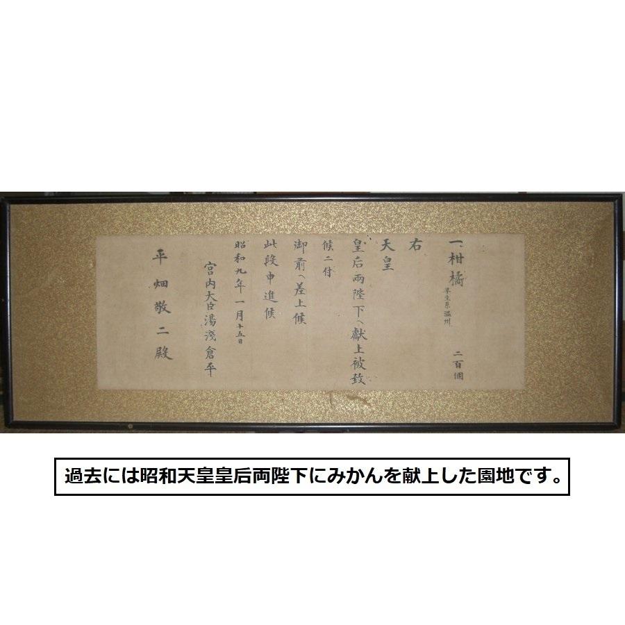 【農家直送!】有田みかん 2Sサイズ 5kg 和歌山｜有田｜田口｜お取り寄せ｜こだわり｜フルーツ｜贈答 :mikan-2s-5kg:平武農園 - 通販 - Yahoo!ショッピング