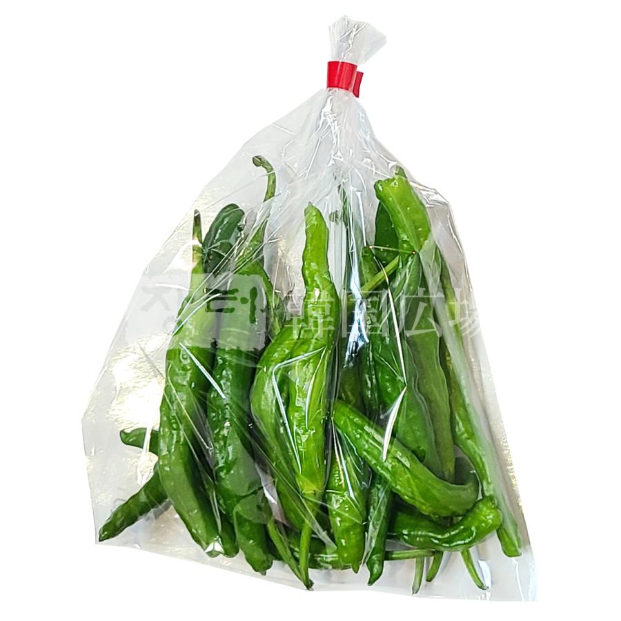 生 ししとう 90g 韓国産 : 韓国広場 - 韓国食品のお店 - 通販 - Yahoo!ショッピング