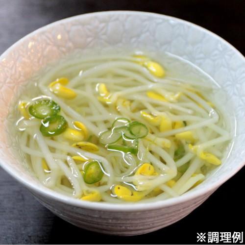 豆もやし 800g : 韓国広場 - 韓国食品のお店 - 通販 - Yahoo!ショッピング