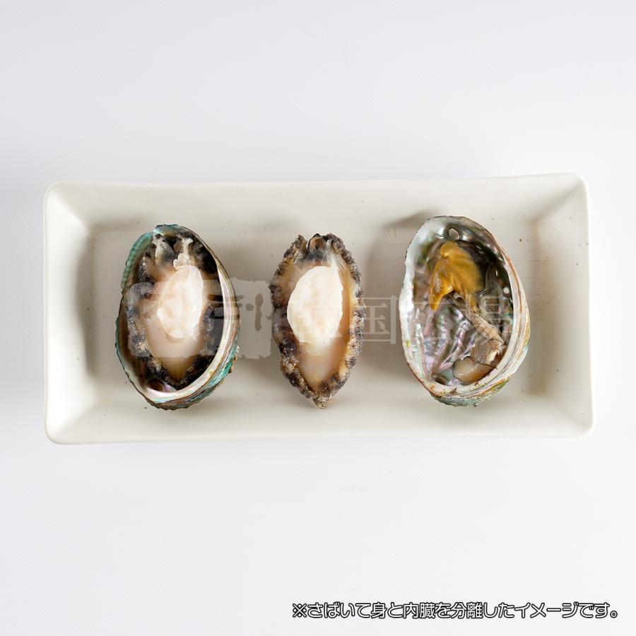 【冷凍発送/送料追加】韓国産 養殖 蒸しアワビ 2尾 (殻付/105g) : 韓国広場 - 韓国食品のお店 - 通販 - Yahoo!ショッピング