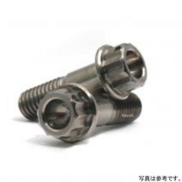 GSRCA34AT ゲイルスピード GALE SPEED エラボレート リア2P アキシャルキャリパー φ34 チタンボルト仕様 黒 JP店 ...