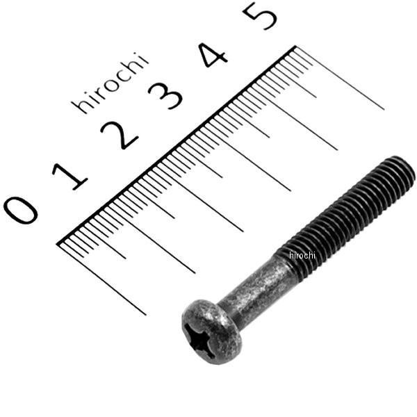 YAMAHA 【メーカー在庫あり】 98507-06040 ヤマハ純正 スクリュー パン JP店 : ヒロチー商事 1号店 - 通販 ...