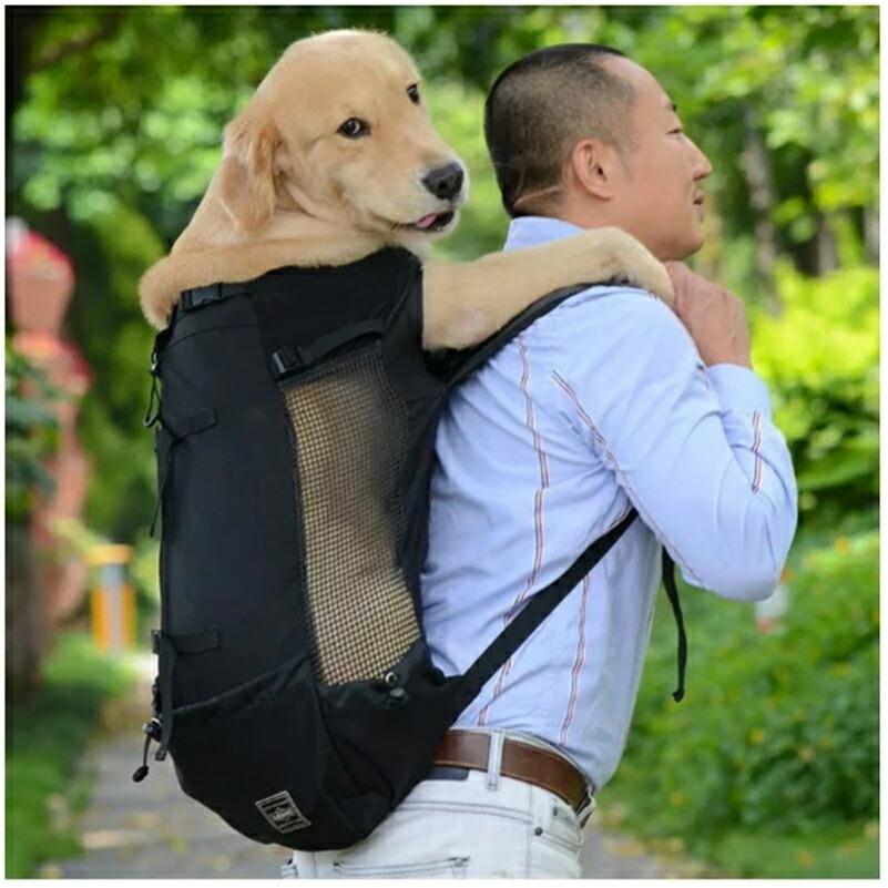 通気性のペット犬大型犬ゴールデンレトリバーのためのブルドッグ