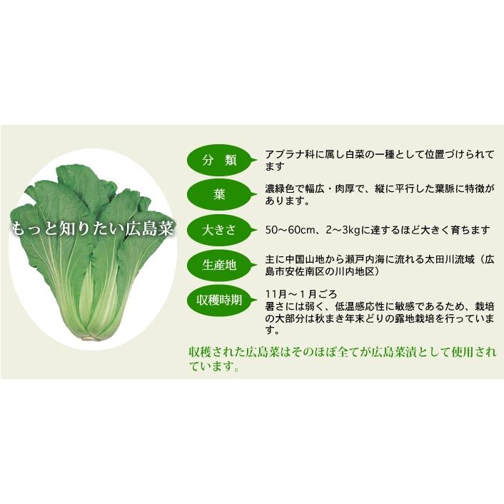 広島菜漬け 倭(やまと) 竹皮 110g 3個セット 国産広島菜 送料込み 銀座tau人気 漬物 手土産 山豊漬物 お土産 : ひろしまグルメショップ - 通販 - Yahoo!ショッピング