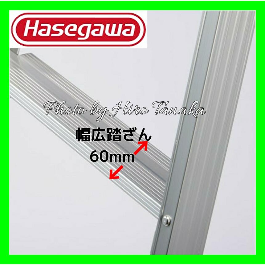 長谷川工業 個人宅配送不可 ハセガワ アルミ 専用脚立 RYZ-24d 脚部伸縮 8尺 正規取扱店出品 幅広ステップ 洗車 高所作業 ワンタッチ開閉機能付 : ヒロ田中 - 通販 ...